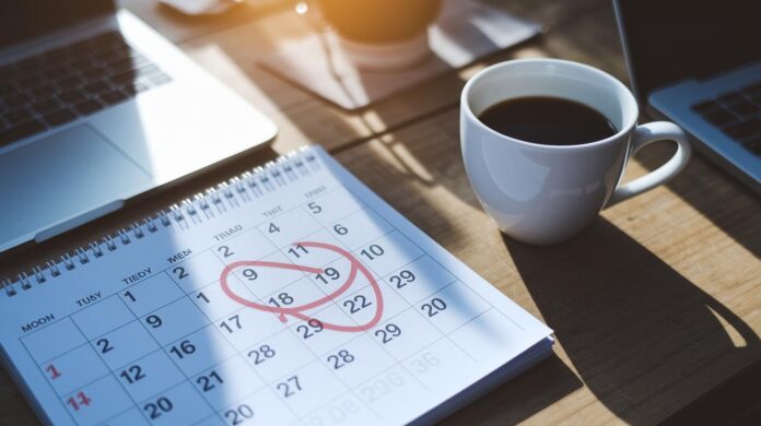 Gs Pay Calendar 2025: Timely Federal Pay Dates | brunews.com